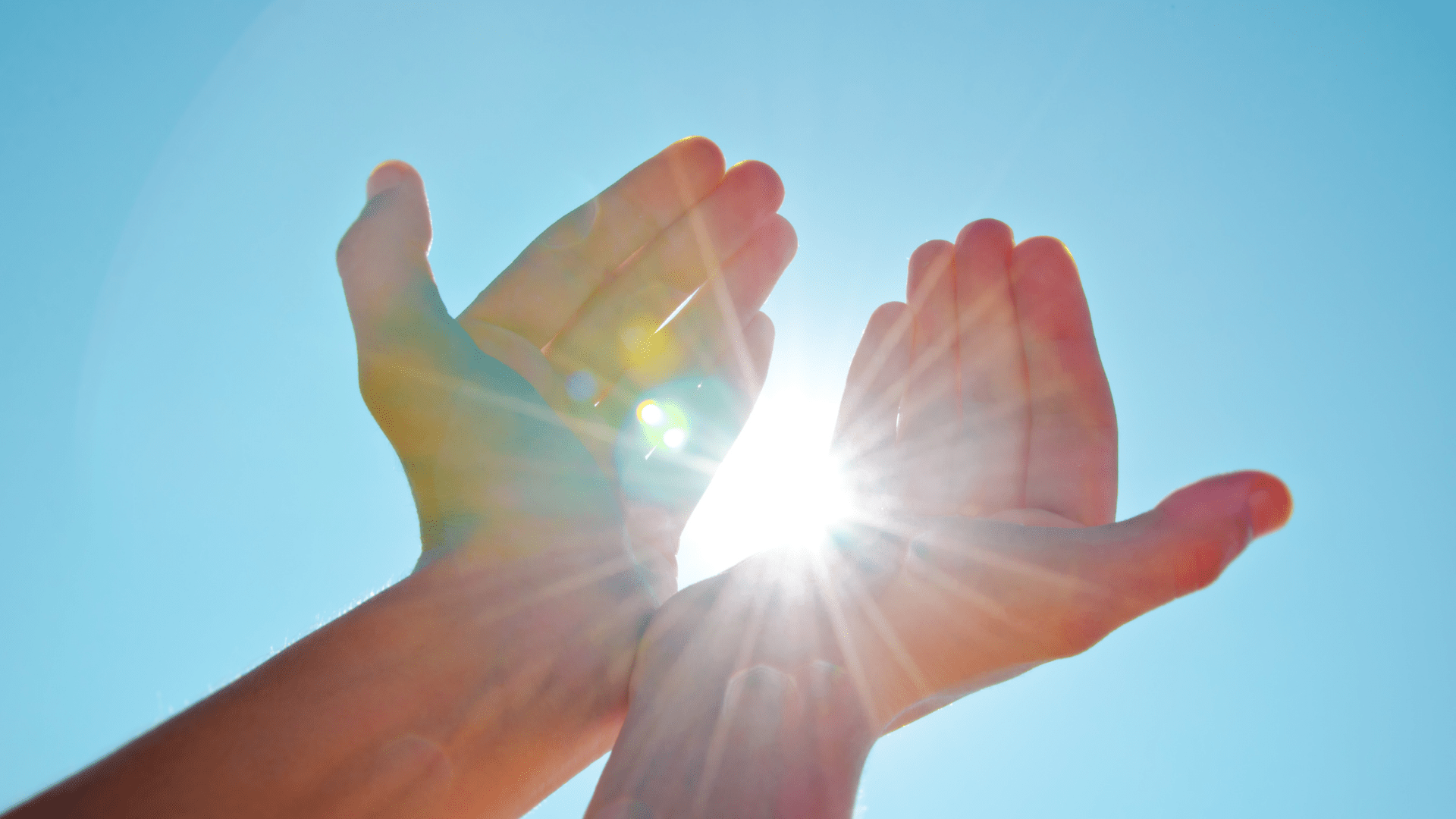 Het Gezonde Lichaam | Voor Vitale Medewerkers